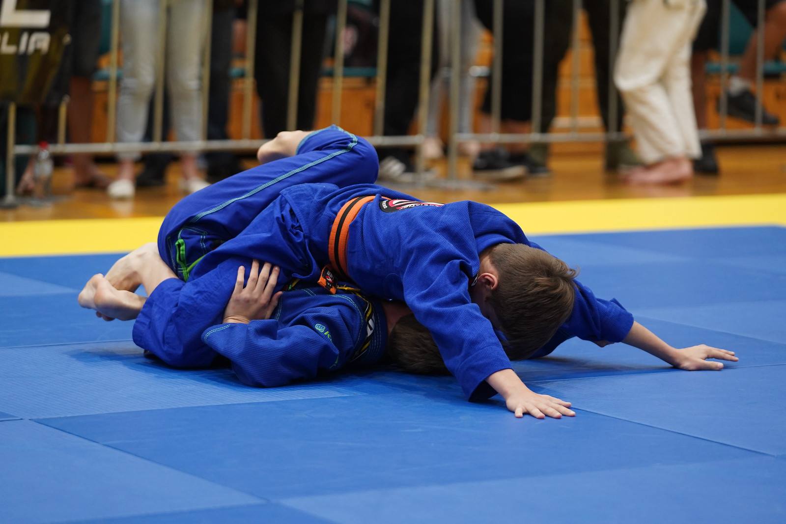 Caleb Wins 2019 AFBJJ Victorian Jiu Jitsu Championship | BJJ Coach ...